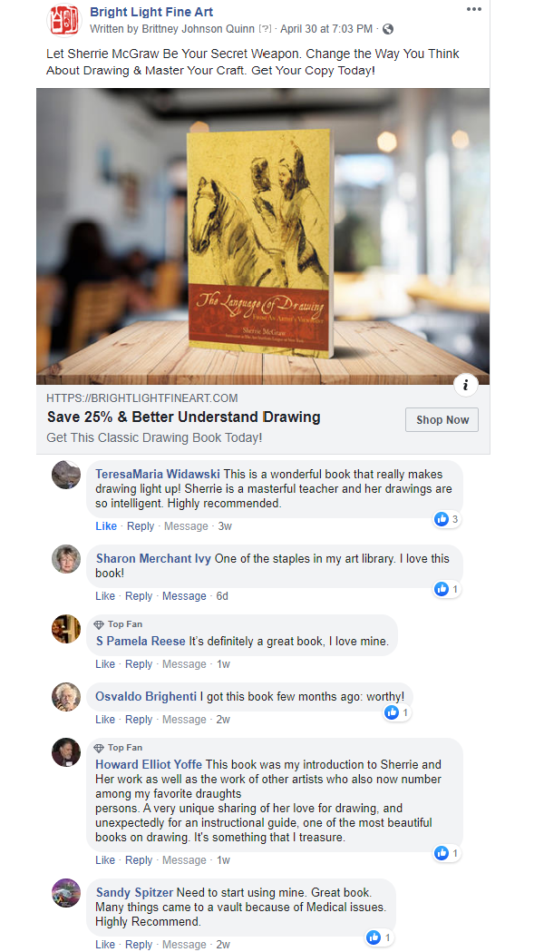 The Language Of Drawing By Sherrie McGraw - The Artists Guild Fine Art | Bright Light Fine Art